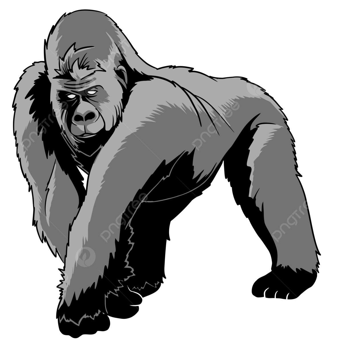 Трафареты Гориллы: 75+ раскрасок для распечатки бесплатно